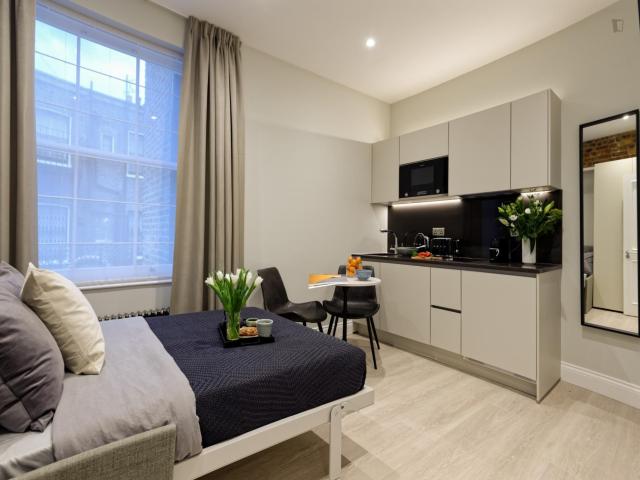 Pleasant studio close to Hyde Park Has an Apartment