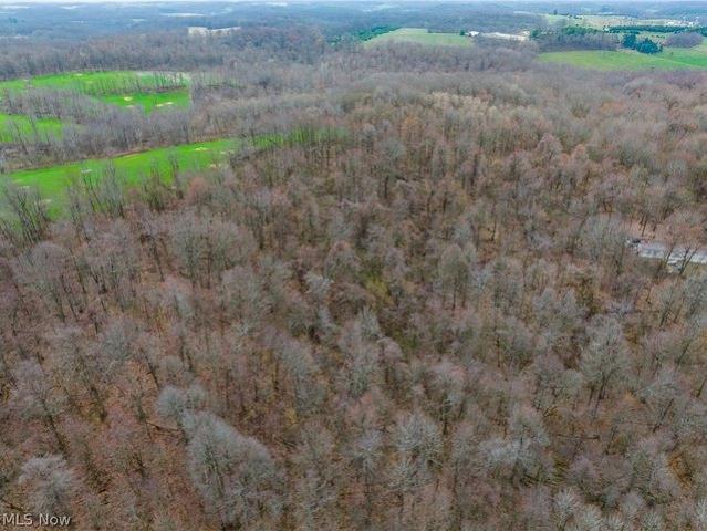 Pledge Rd, Carrollton, OH 44615