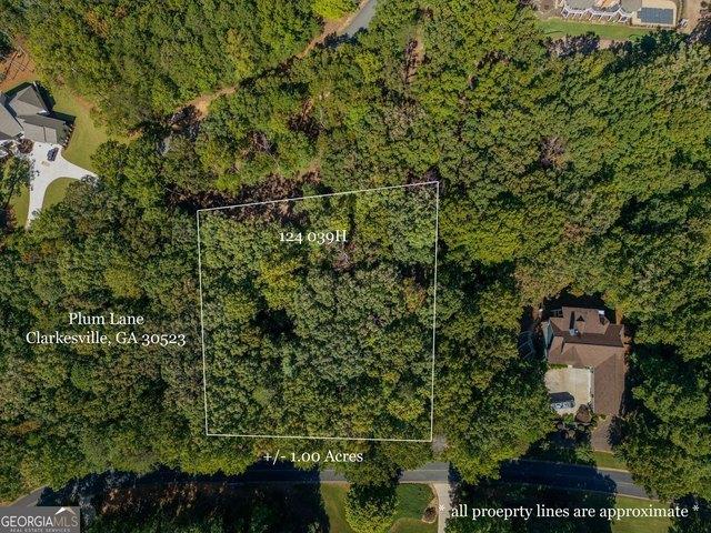 Plum Ln, Clarkesville, GA 30523
