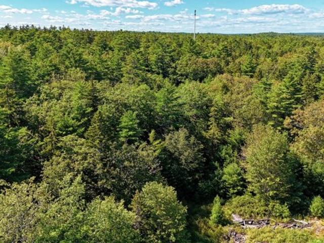 Plum Ln Unit D, Georgetown, Plot For Sale