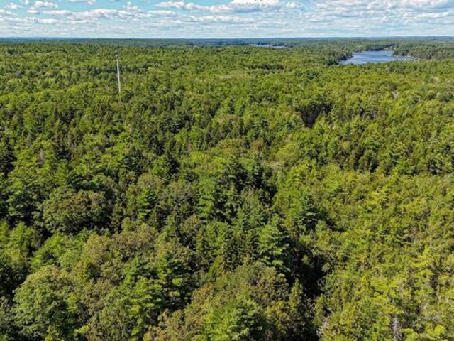 Plum Ln Unit D, Georgetown, Plot For Sale