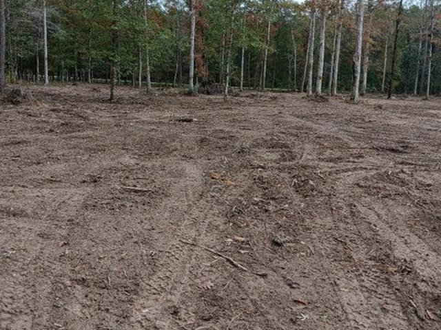 Plum Pudding Rd Lot 22, Livingston, TX 77351