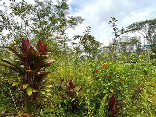 Plumeria Rd, Pahoa, HI 96778