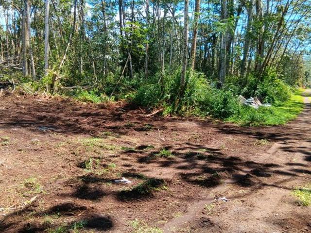 Plumeria Rd, Pahoa, HI 96778
