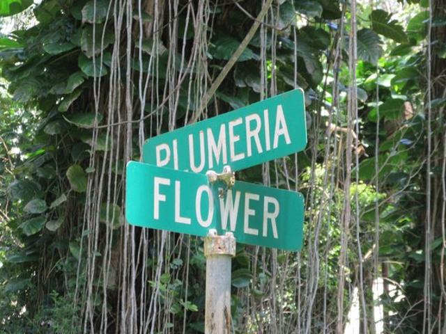 Plumeria Rd, Pahoa, HI 96778