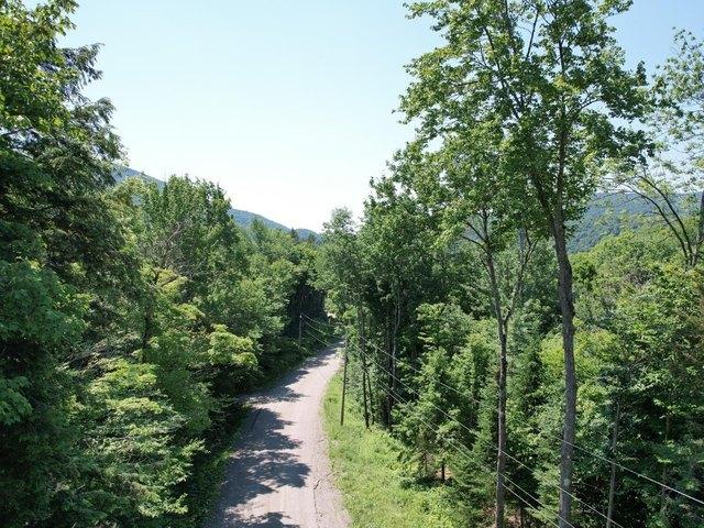 Plunkton Rd, Warren, VT 05674