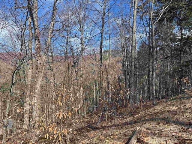 Plymouth VT 05056 102593114