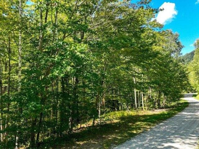 Plymouth VT 05056 104652812