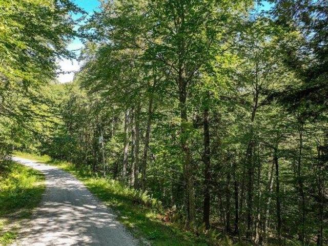 Plymouth VT 05056 104718766