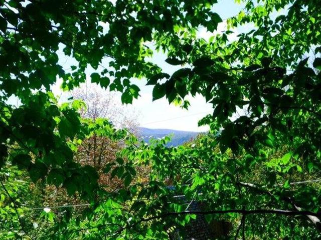 Plymouth VT 05056 105142145