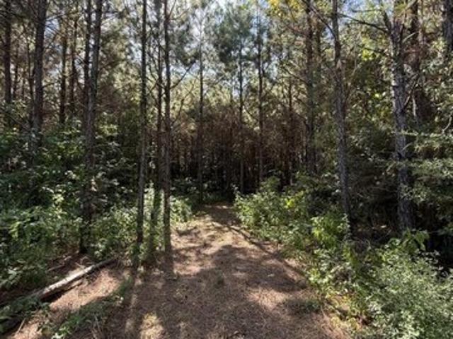 Pr # 8263, Broaddus, TX 75929