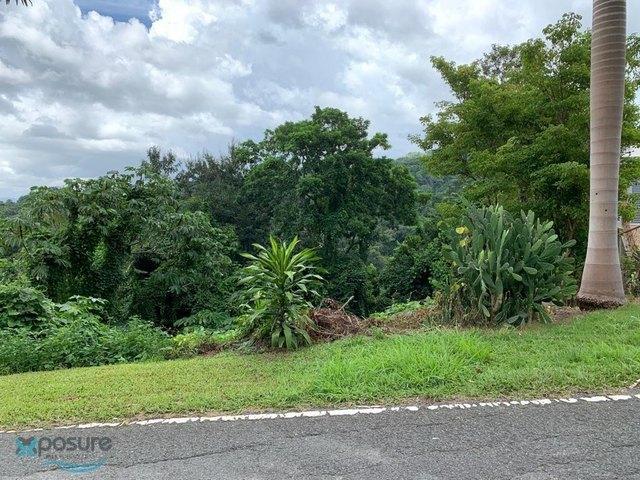 Pr 106 km # 4, Mayaguez, PR 00680