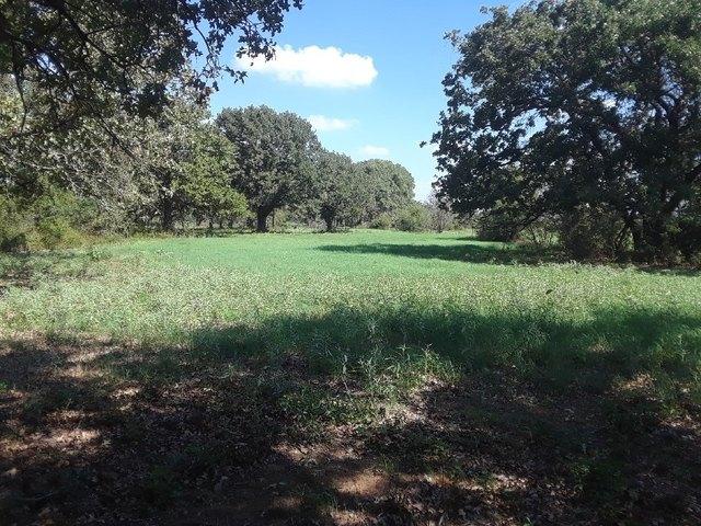 Pr # 114, Covington, TX 76636