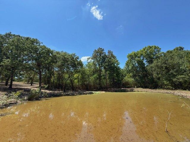 Pr # 1440, Centerville, TX 75833