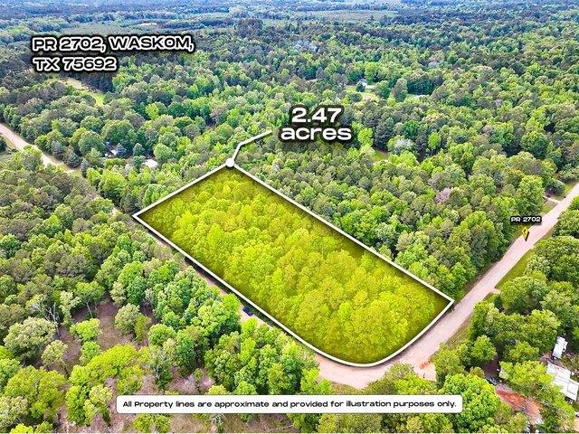 Pr # 2702, Waskom, TX 75692