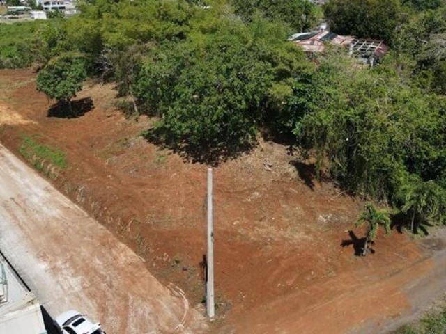 Pr Bo Galateo Bajo Pr #,isabela, Plot For Sale
