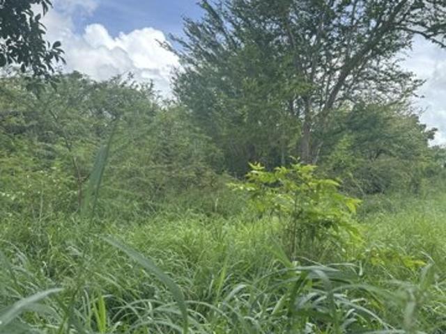 Pr Bo Lajas Arriba Unit Km, Lajas, Plot For Sale