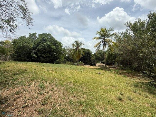 Pr Bo Paris Pr, Lajas, Plot For Sale