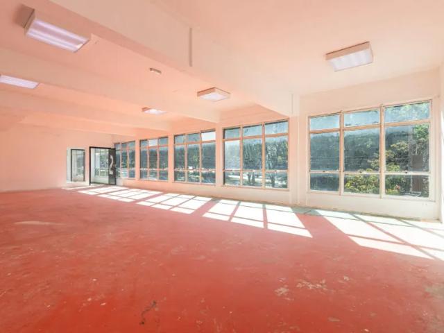 Prédio Comercial para Locação Rua Henrique Schaumann, Pinheiros/SP