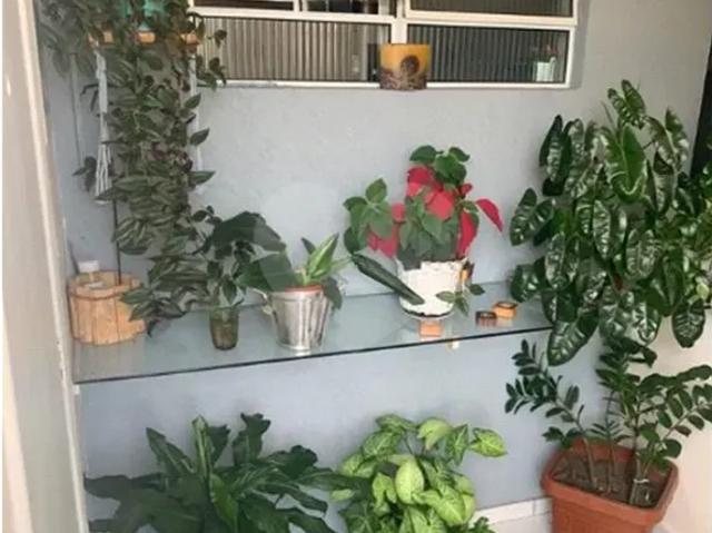 Prédio inteiro à venda em Casa verde alta SP