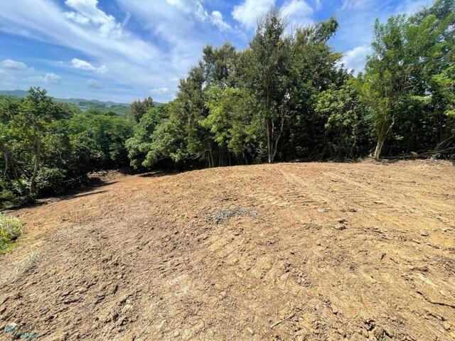 Pr Int Cain Alto Units And,san German, Plot For Sale