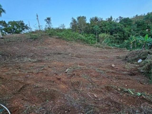 Pr #,isabela, Plot For Sale