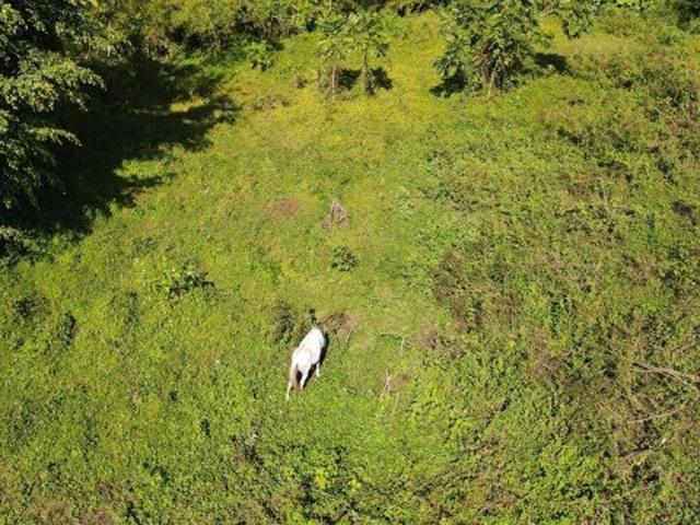 Pr Km Int Camino Arturo Hernandez, San Lorenzo, Plot For Sale