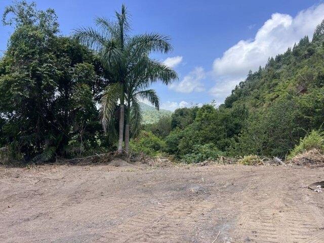 Pr Km Limari, Aguada, Plot For Sale