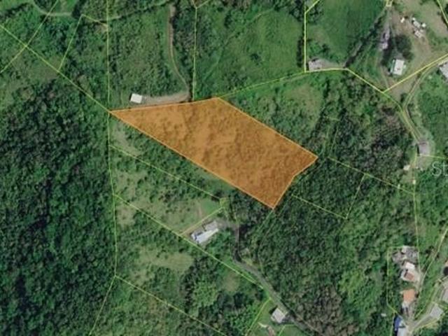 Pr Km Rio Abajo Ward Lot E, Cidra, Plot For Sale