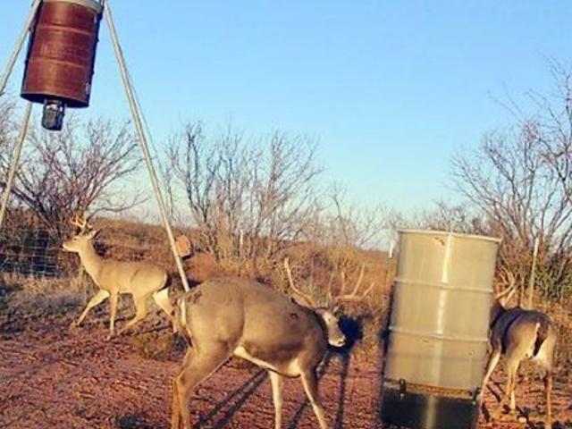 Pr, Merkel, TX 79536