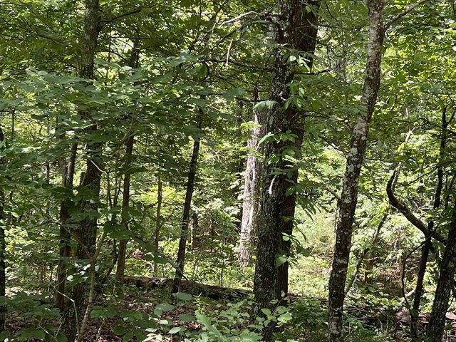 Pr off Ridge Hvn, Mammoth Spring, AR 72554