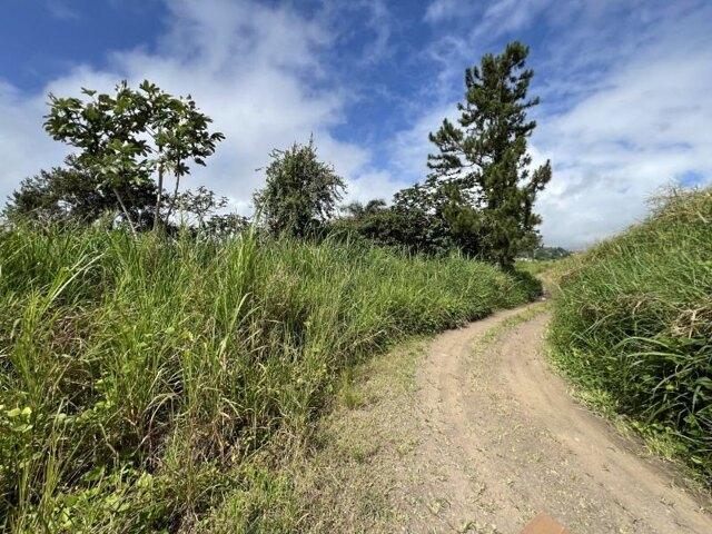 Pr r Km Int Bo Helechal Parcela Parcel,barranquitas, Plot For Sale