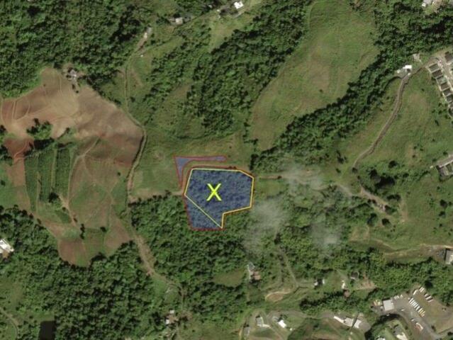 Pr r Km Int Bo Helechal Parcela Parcel,barranquitas, Plot For Sale