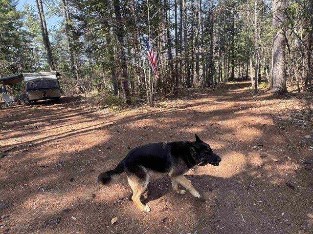 Province Lake Rd, Effingham, Plot For Sale