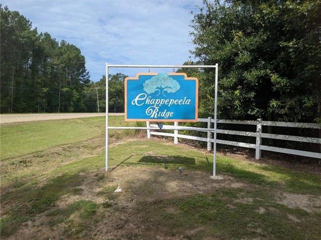Providence Estates Rd Lot 19, Amite, LA 70422