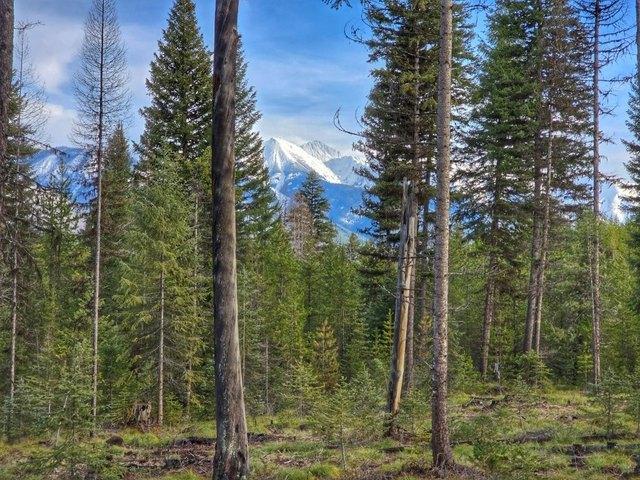 Providence Ln, Condon, MT 59826