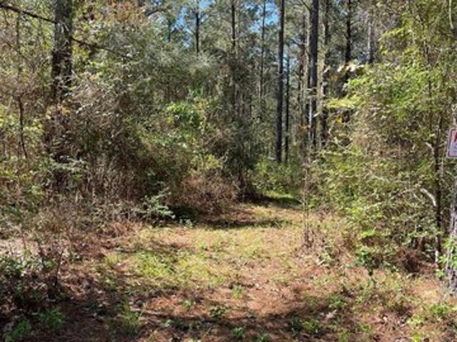 Providence Private Ln, Frierson, LA 71027