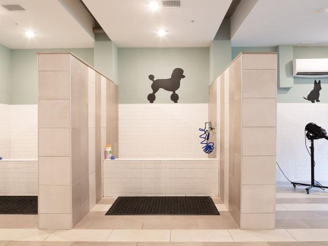 Providence Row 3 Bedroom Apartment for Rent at 5350 Pinehurst Park Dr, Charlotte, NC 28211 Foxcroft