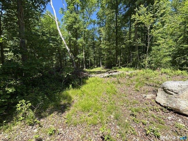 Providence Tpke, Hampton, Plot For Sale