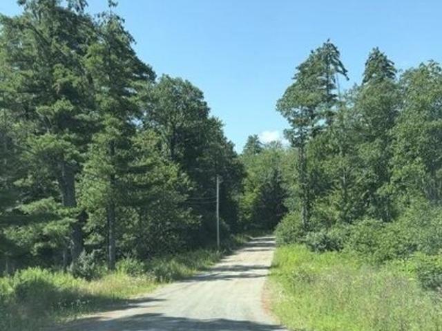 Provident Dr, Scarborough, Plot For Sale