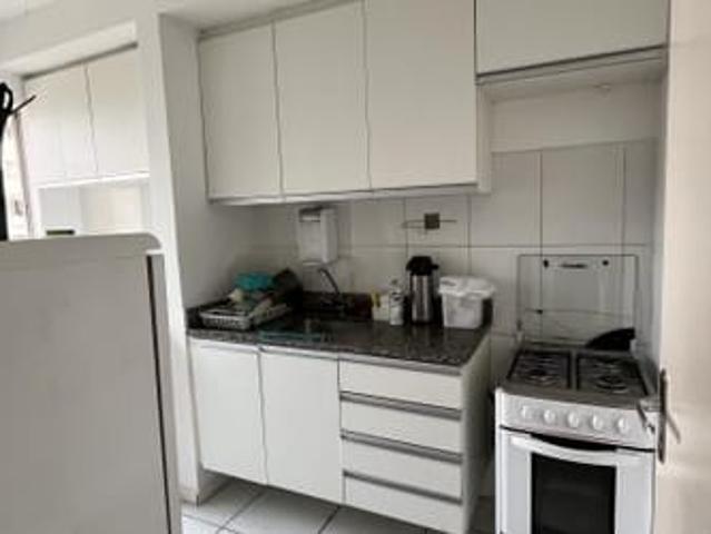 Procuro novo colega de apartamento