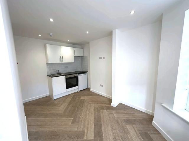 Professional 1 Bed Flat and Studio available