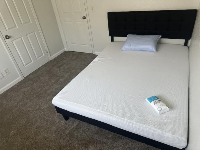 Professional seeking roommate