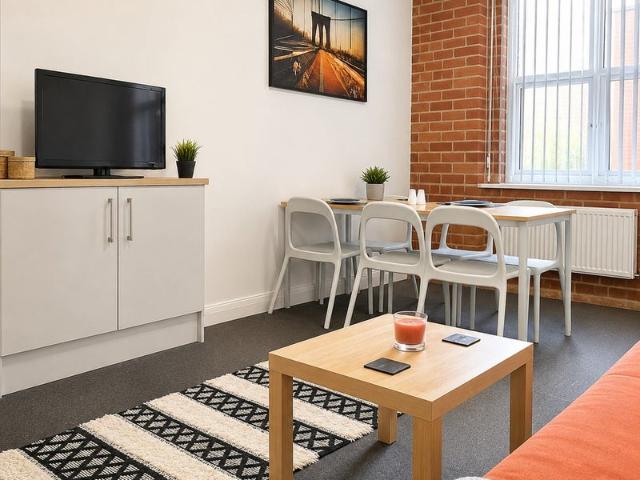 Professional Room Available