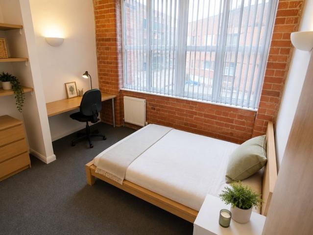 Professional Room Available