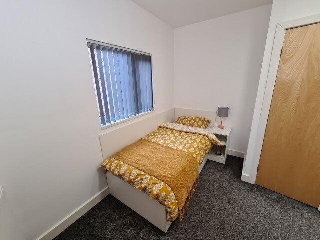 Professional Room Available