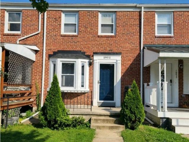 Professional renter wanted