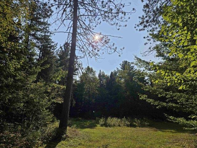 Profile Rd, Franconia, Plot For Sale