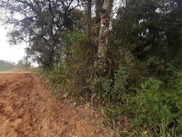 Projeto pioneiro de compensação ambiental em Piedade, SP!
