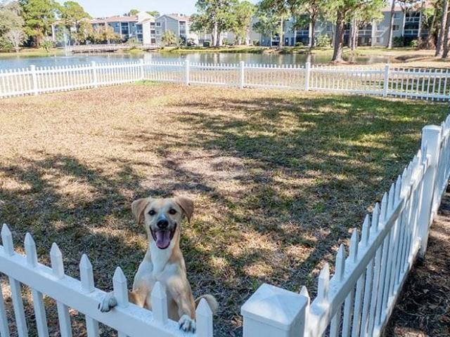 Promenade At Edgewater Apartments 1 Bedroom Apartment for Rent at 257 Milwaukee Ave, Dunedin, FL 34698